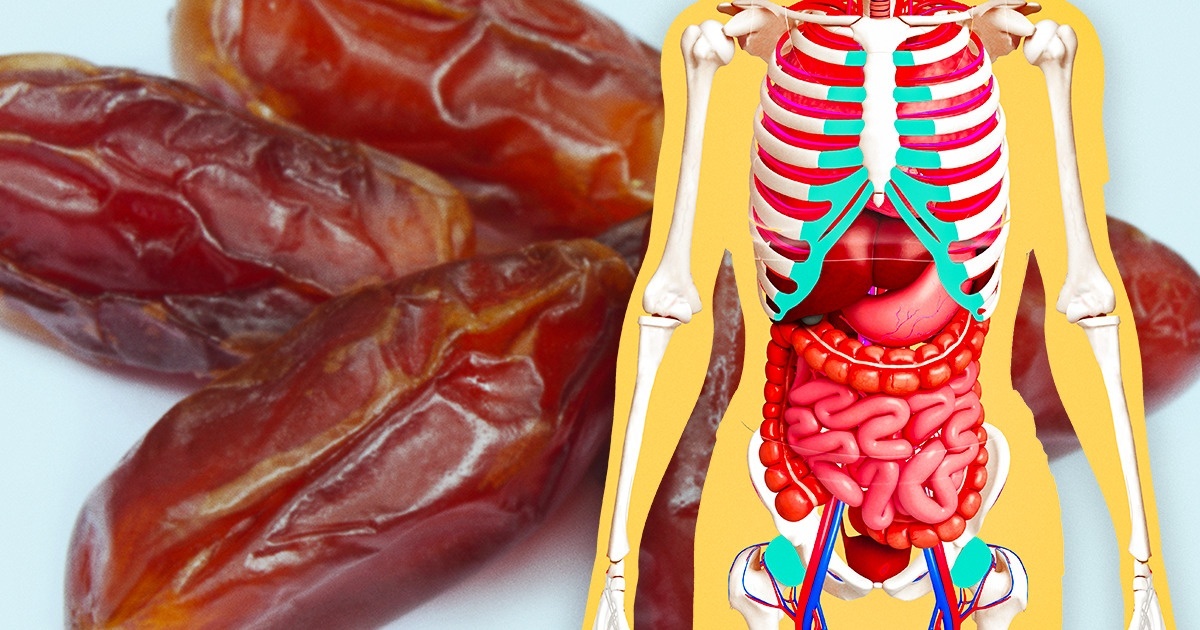 8 Things Will Happen To Your Body If You Start Eating 3 Dates a Week
