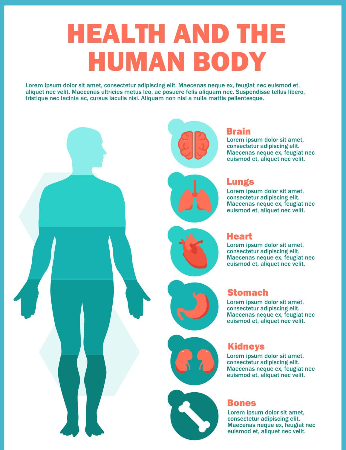The Amazing Human Body: A Guide to Your Health